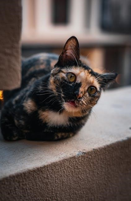 Download Free Moda Blockheads Patterns PDF